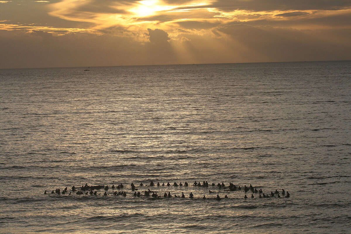 2008 RIP Robbie Wood | Merewether Surfboard Club